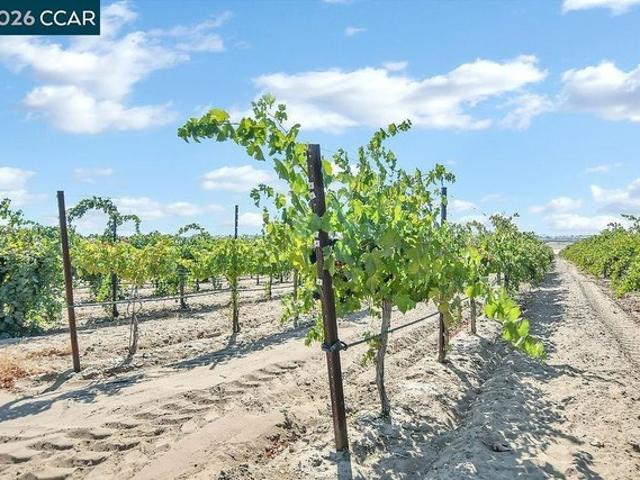 Empire Ave, Oakley, CA 94561