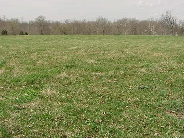 Empson Rd or Eddings Blvd, White House, TN 37188