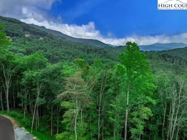 En V 66 Featherstone Trace, Banner Elk, NC 28604 MLS 250899