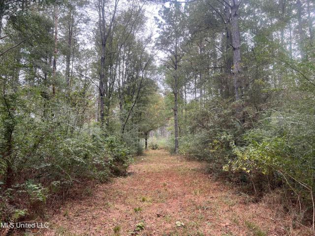 Enon Sartinville Road, Jayess, MS 39641
