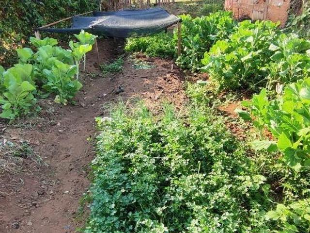 Encantador sitio a venda no Jardim Maria Luiza, Araraquara