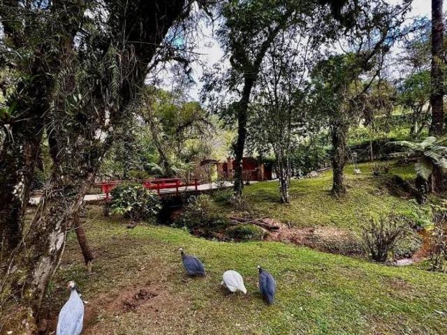 Encantadora Propriedade no Bairro Lagoinha com Ampla Área Verde e Riacho