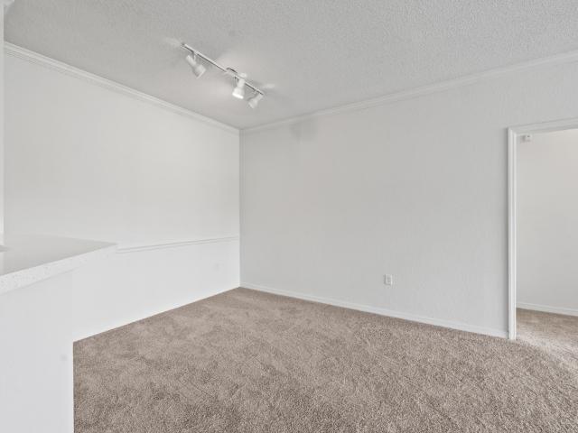 Enclave at Richmond Place 2 Bedroom Apartment for Rent at 7425 Palmera Pointe Cir, Town 'n' Country, FL 33615 Town N County Park