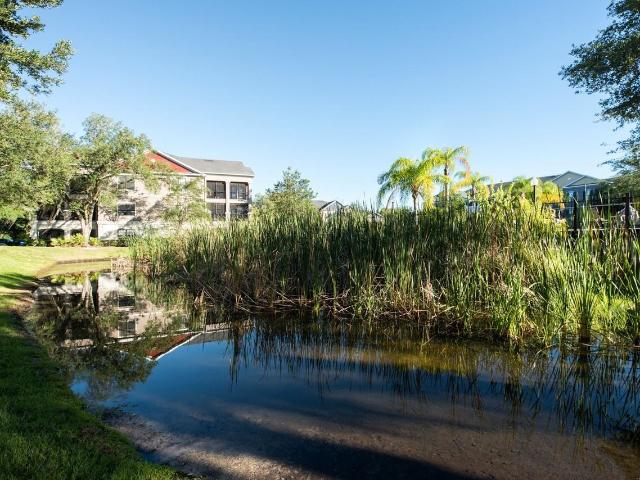Enclave At Wesley Chapel 1 Bedroom Apartment for Rent at 1930 Devonwood Dr, Wesley Chapel, FL 33544