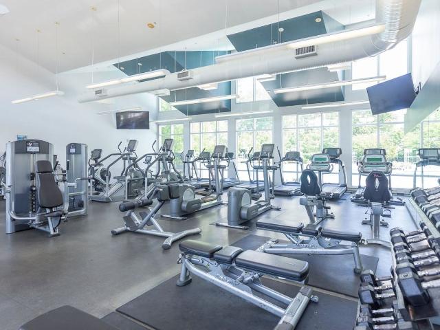 Enclave Silver Spring Studio Apartment for Rent at 11225 Oak Leaf Dr, White Oak, MD 20901 White Oak