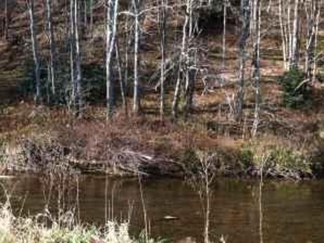 End of road 2 acres on the New River Boone Todd map for sale in Boone, North Carolina