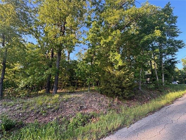 Enfield Dr Lot 22, Bella Vista, AR 72715