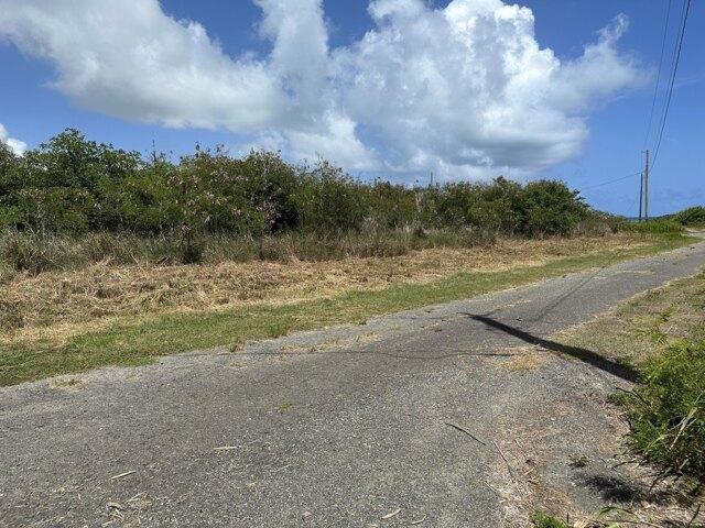 Enfield Green Pr, Saint Croix, Plot For Sale