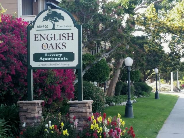 English Oaks