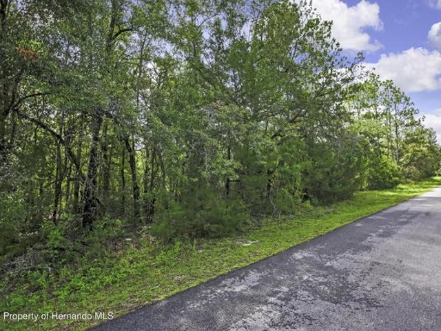 English Sparrow Rd, Weeki Wachee, FL 34614