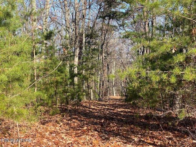 English Springs Way, Newport, TN 37821