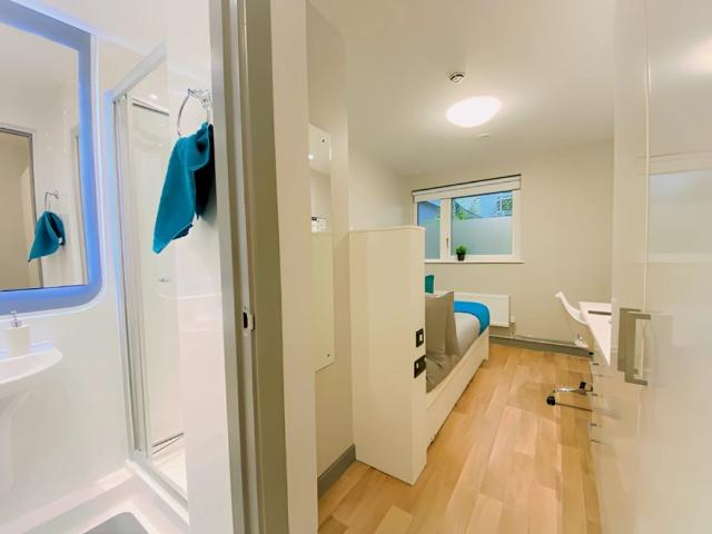 Ensuite bronze
