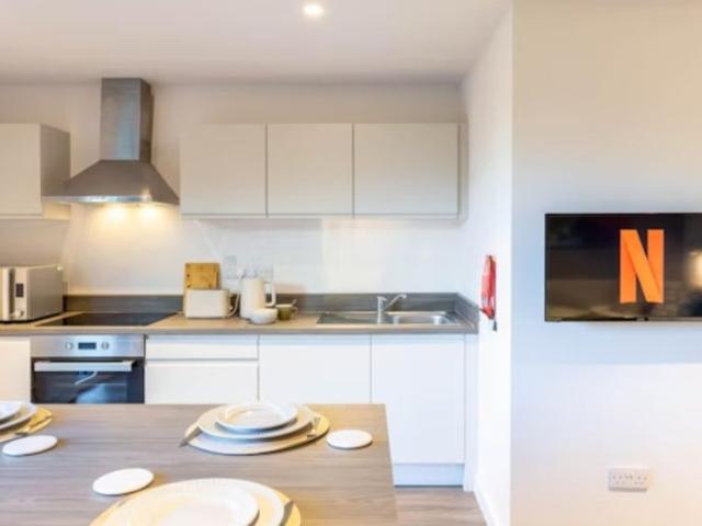 Ensuite room at Abeleven – available now