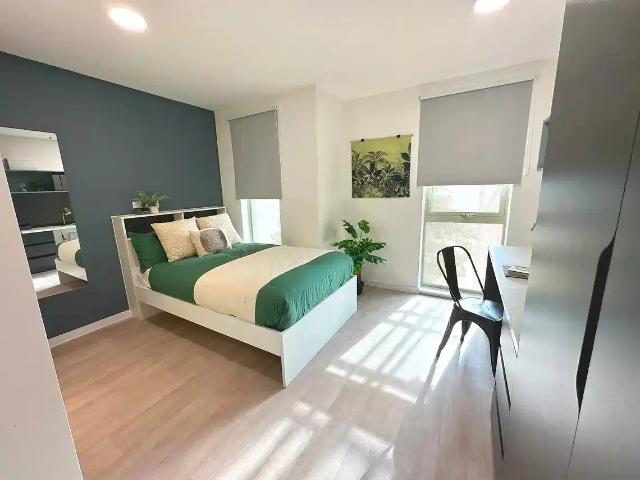 Enso, Colchester Student Accommodation | Amber