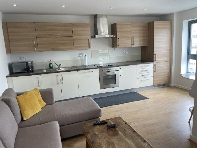 Entire newly built 2 bed 2 bath for 2 9 month stay