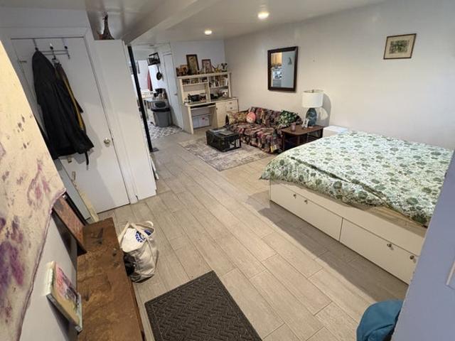 Entire South Slope Bottom Apartment