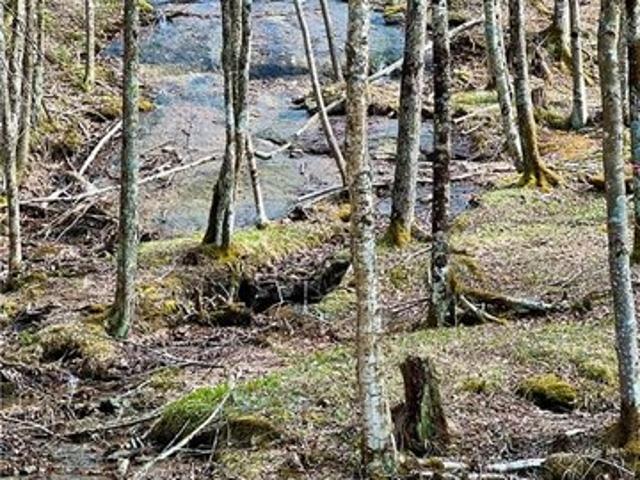ES 61 Rippling Waters Trl, Banner Elk, NC 28604