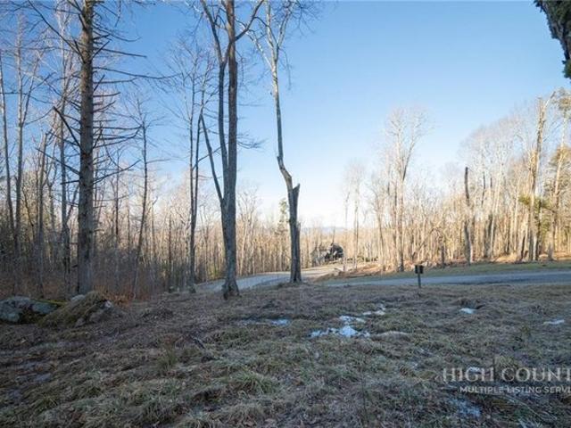 ES 72 Twisted Oak Path, Banner Elk, NC 28604