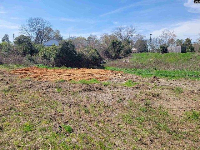 E/S Tremont Ave, Columbia, SC 29203