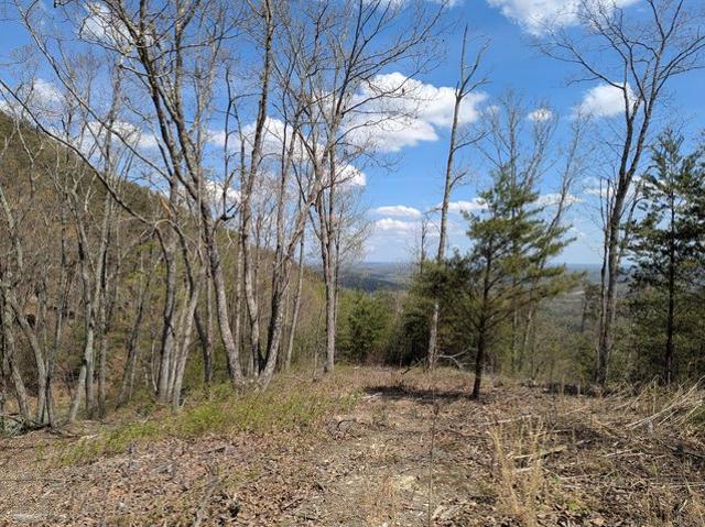 Escape Dr Lot 10, Evensville, TN 37332