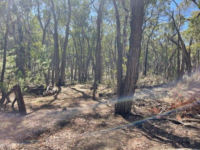 510 lands bush block for sale in Victoria - Trovit