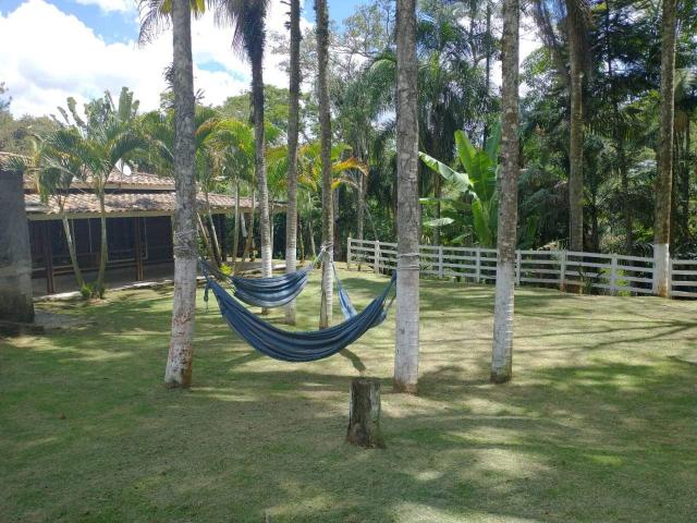 ESPAÇO BARRIGA VERDE