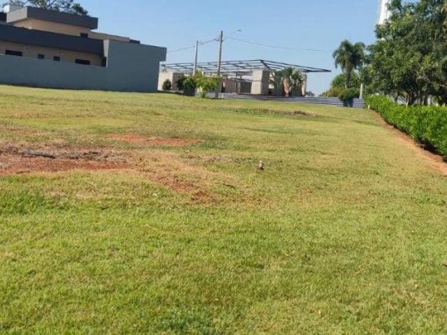 Espaço e Conforto: Terreno de Médio Padrão com 560m² em Localização Nobre Cesário Lange SP