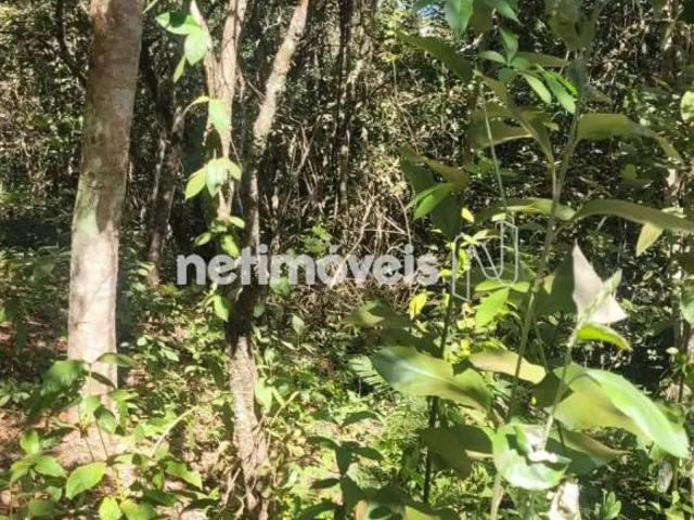 Espaçoso | Riacho de Fundo | Declividade | Próximo a Portaria | Projeto Aprovado pelo Condomínio