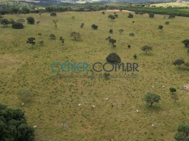 Espetacular Fazenda de 1055 ha na Grande BH, toda Plana, muita Água, muito potencial