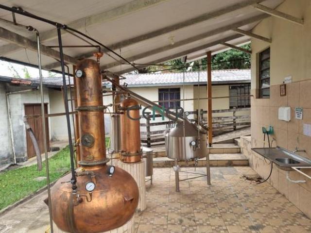 Espetacular fazendinha com fábrica de cachaça de 27 ha em Itabirito/MG