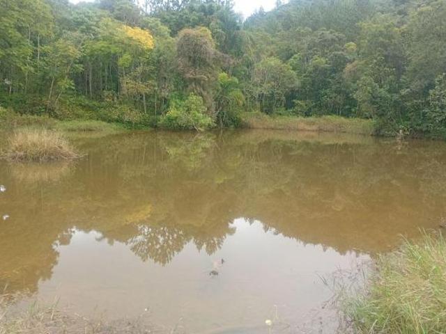 Espetacular Sítio a Venda com 11 Alqueires na Cidade de Juquitiba sp