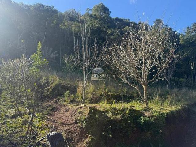 Espetacular Sítio à Venda em Gramado RS, Bairro Várzea Grande! 8.000m² de Pura Natureza Esperam por