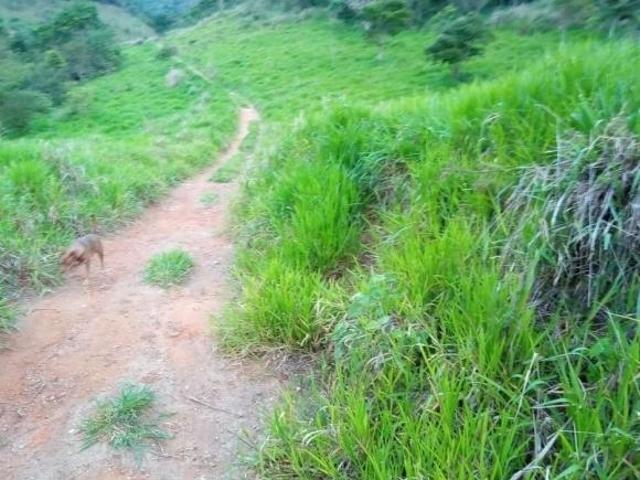 Esplêndida Fazenda de 2070 ha em Almenara MG
