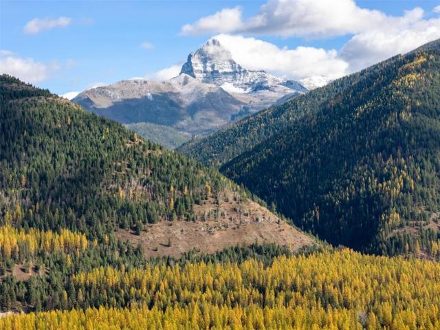 Essex MT 59916 LS90630423