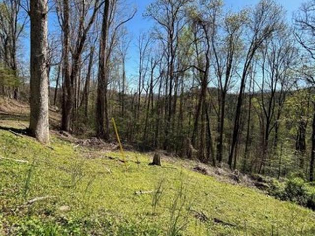 Esslinger and Low Gap, Gatlinburg, TN 37738