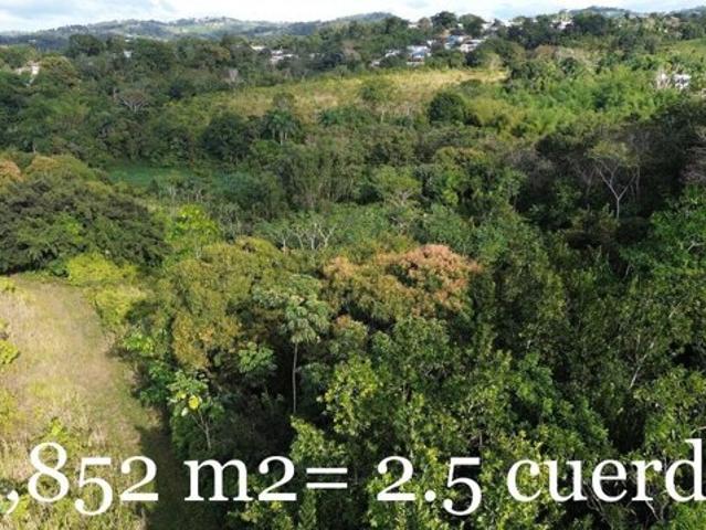 Est Miradero, Mayaguez, Plot For Sale