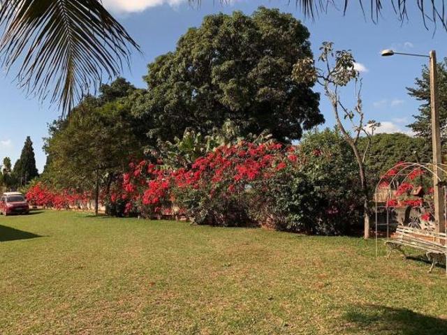 Está buscando chácara residencial para comprar com 3?quartos no Centro, Araçoiaba da Serra?