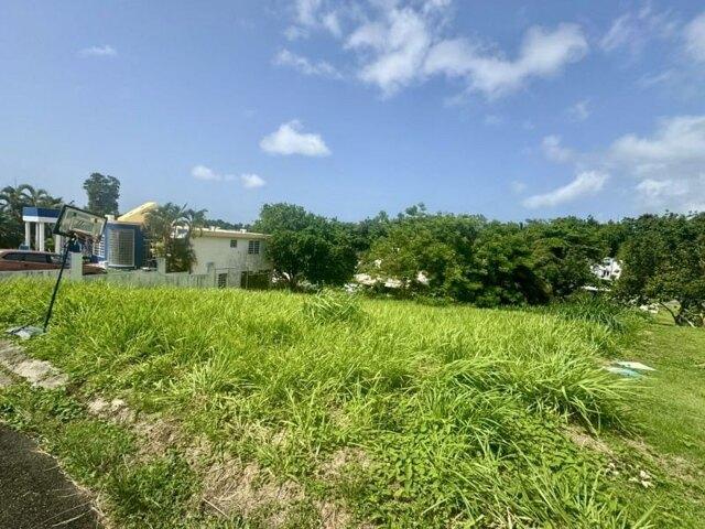 Estancias Del Verde Calle Numero #,rio Grande, Plot For Sale