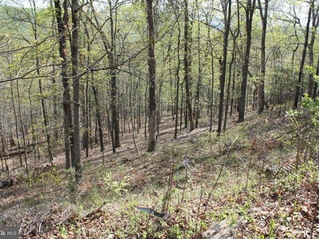 Estate Dr, Ruther Glen, Plot For Sale