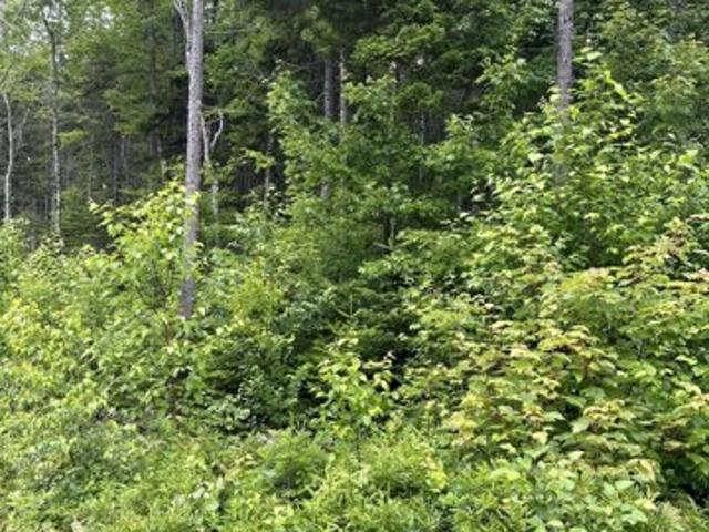 Estates Rd Lot,steuben, Plot For Sale
