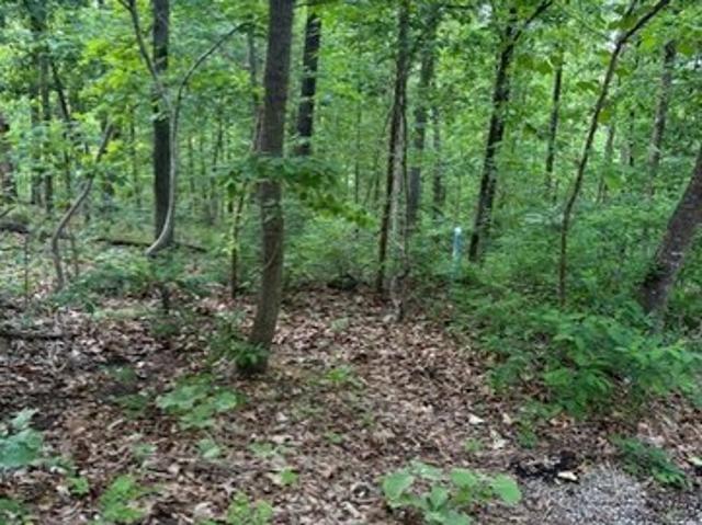 Eston Ln Lot 9, Bella Vista, AR 72714
