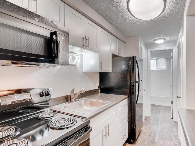 Estrella 1 Bedroom Apartment for Rent at 7050 Pecos St, Denver, CO 80221
