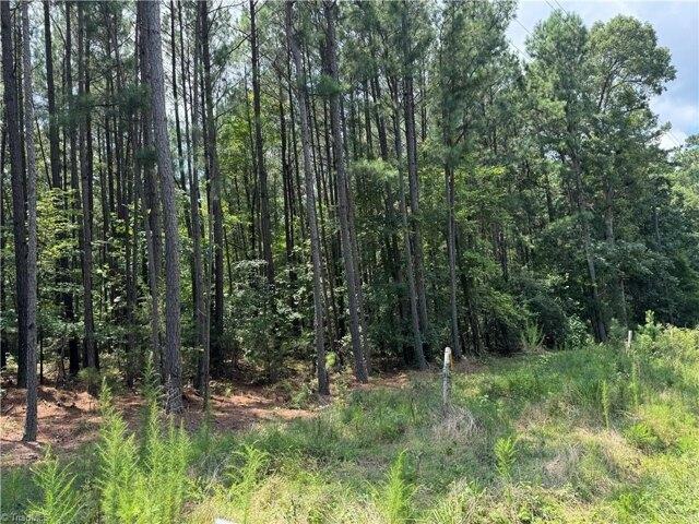 Epps Clark Rd, Siler City, Plot For Sale