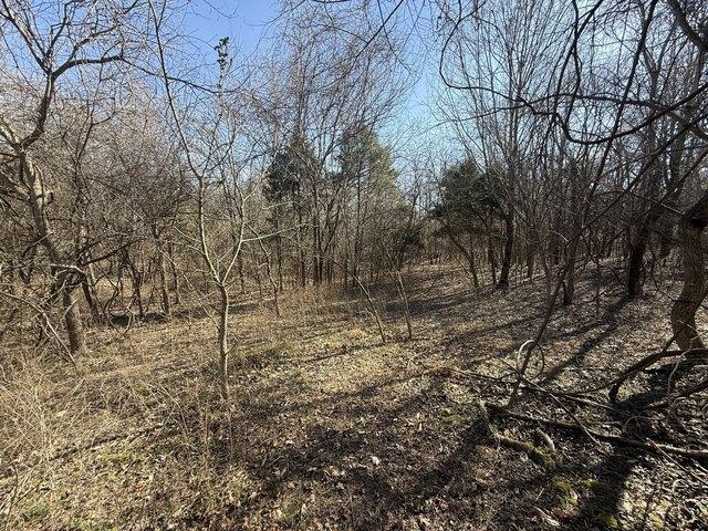 Epps Rd, Southside, TN 37171
