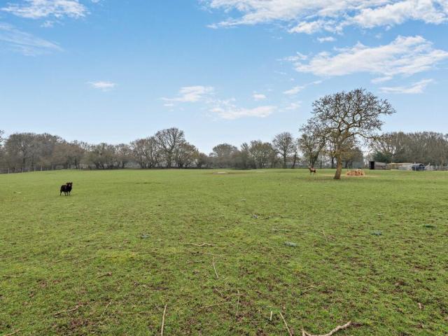 Equestrian facility for sale in Horns Oak Road, Meopham, Gravesend, Kent, DA13