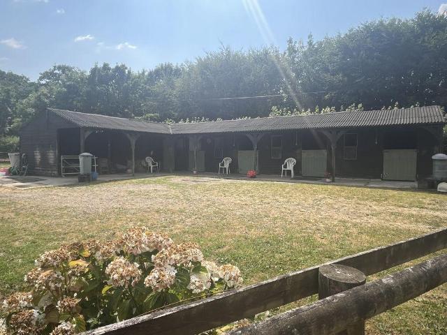 Equestrian facility for sale