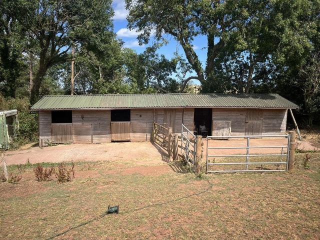 Equestrian facility for sale