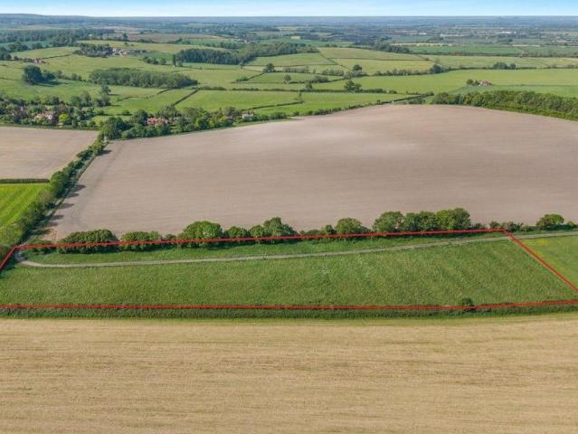 Equestrian facility for sale