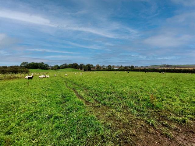 Equestrian facility for sale