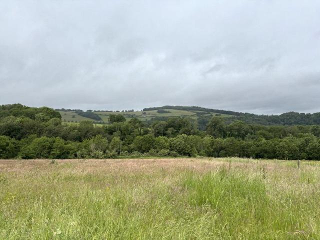 Equestrian facility for sale